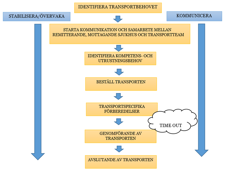 Transport av nyfödd